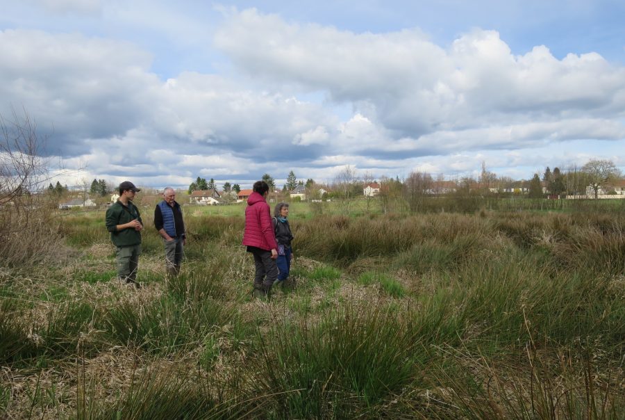 Luzy.fr, site officiel de la ville de Luzy – Luzy.fr